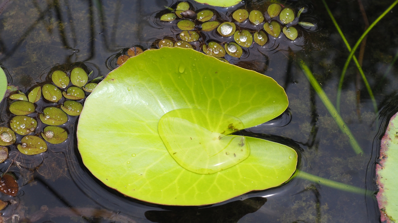 Contact Us – Water Wise